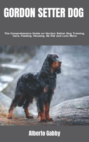 GORDON SETTER DOG: The Comprehensive Guide on Gordon Setter Dog ...