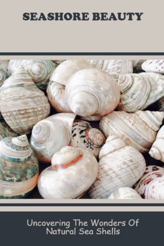 Seashore Beauty: Uncovering The Wonders Of Natural Sea Shells by ...