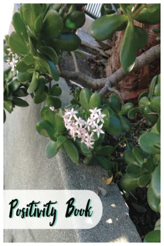 Positivity Book: A place to record positive thoughts everyday of the ...