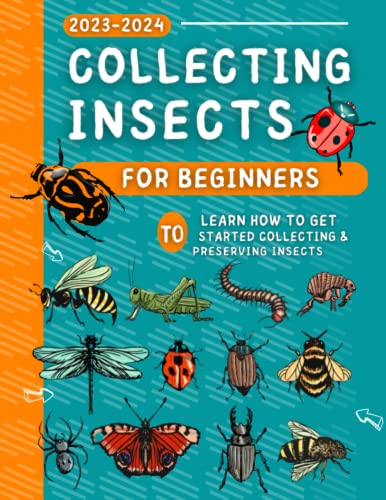 Collecting Insects For Beginners: Learn How To Get Started Collecting ...