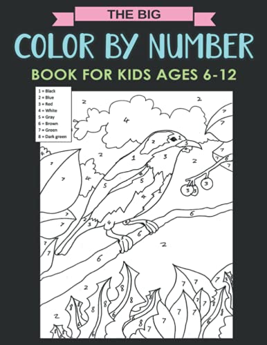 The Big Color By Number Book For Kids Ages 6-12: Large Print Birds ...