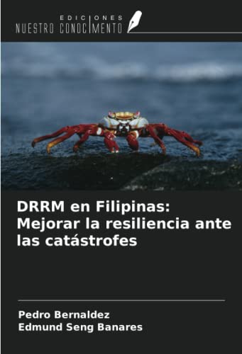 DRRM en Filipinas: Mejorar la resiliencia ante las catástrofes by Pedro ...