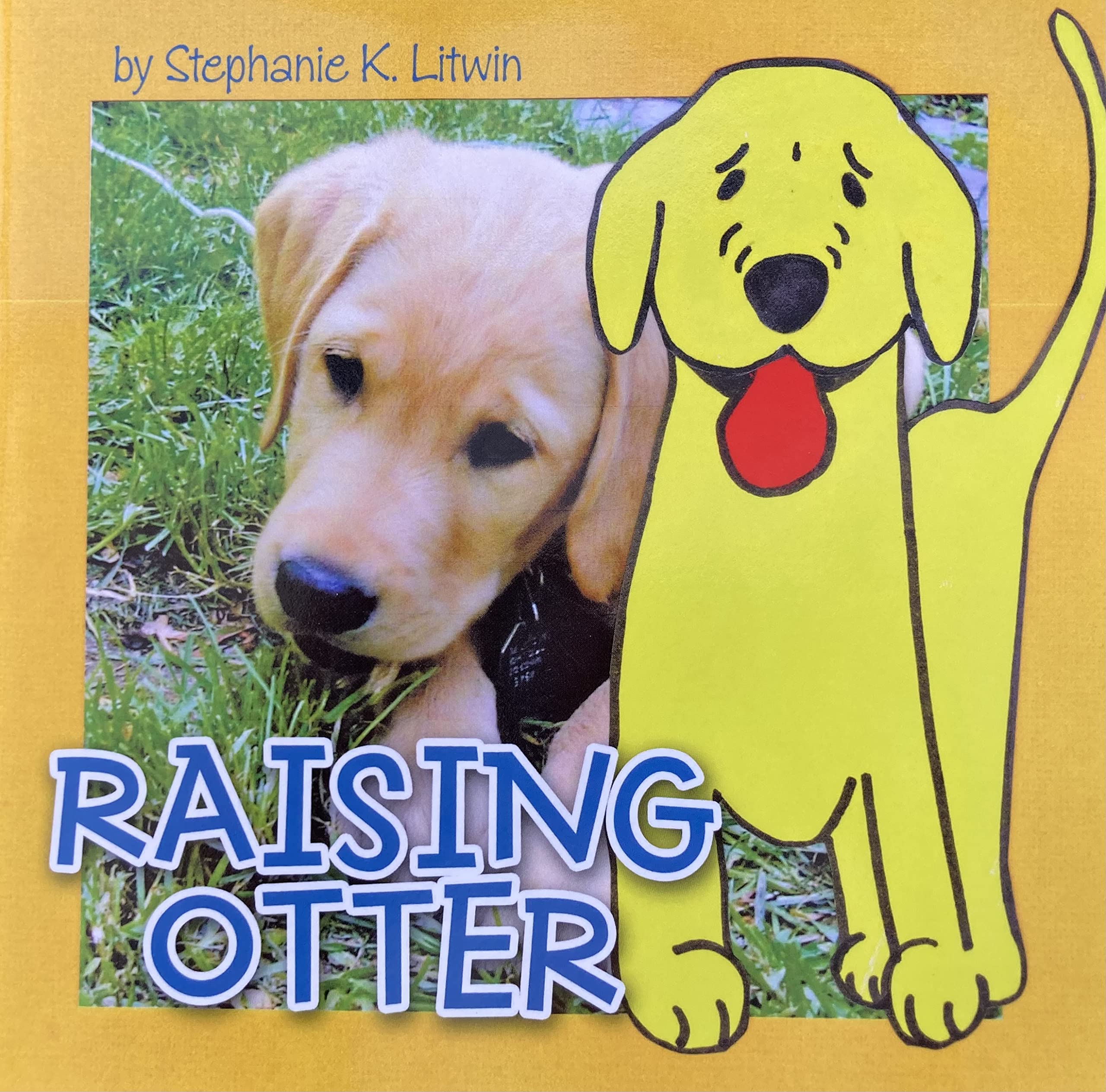 Raising Otter by Stephanie Kraft Litwin | Goodreads