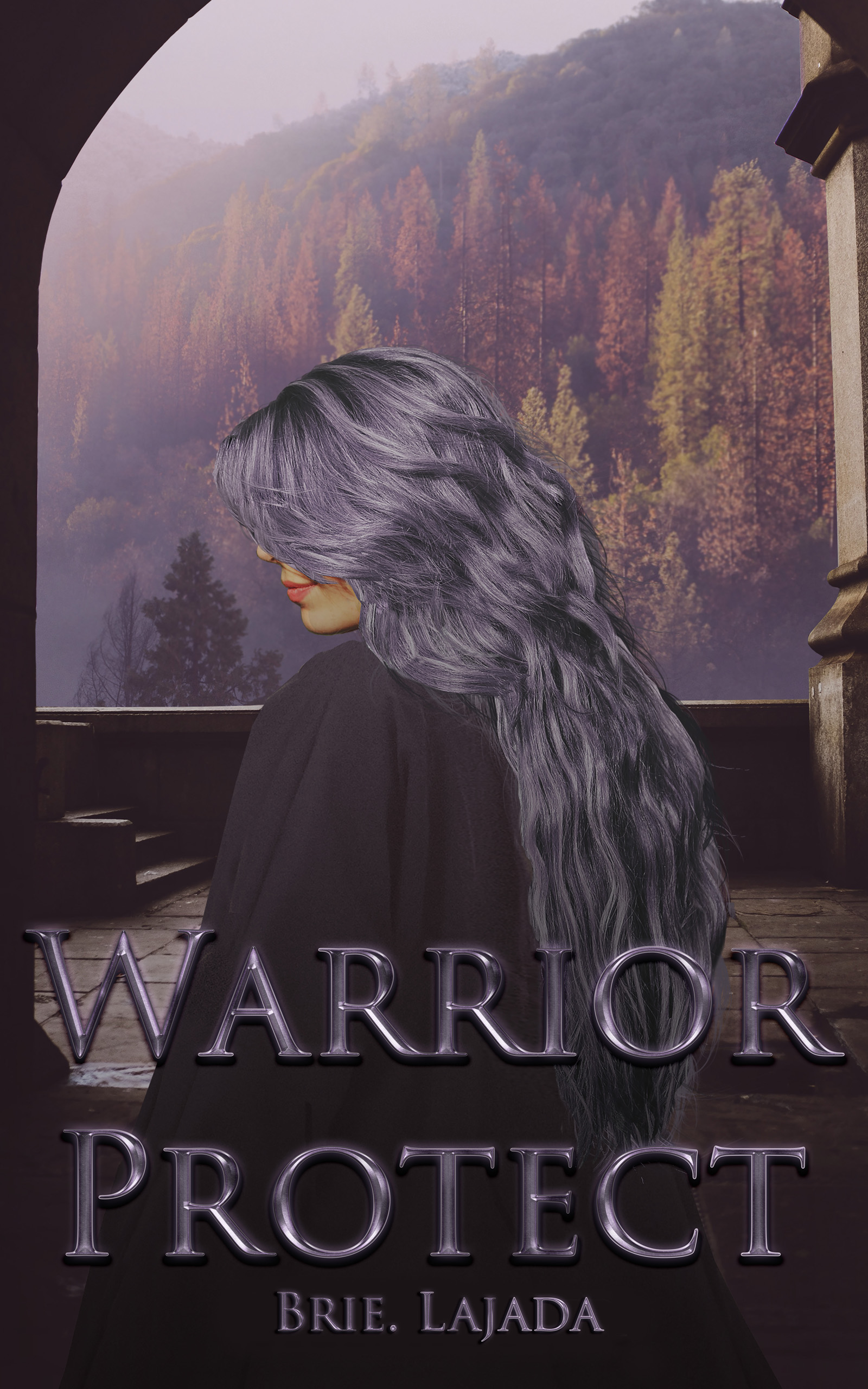 Warrior Protect by Brie Lajada | Goodreads