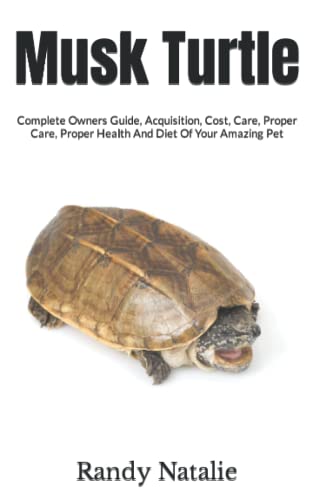 Musk Turtle: Complete Owners Guide, Acquisition, Cost, Care, Proper Care, Proper Health And Diet ...