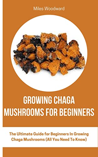 GROWING CHAGA MUSHROOMS FOR BEGINNERS : The Ultimate Guide for ...