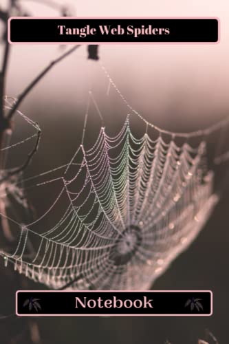 Tangle Web Spiders Notebook: Capturing Life's Moments, A Personal ...