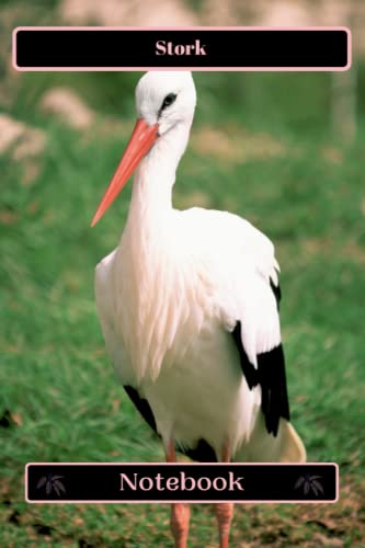 Stork Notebook: Capturing Memories, A Personalized Notebook for All ...