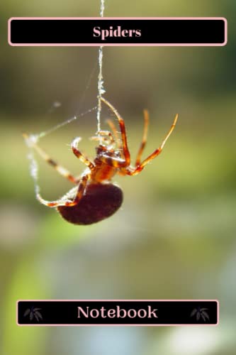 Spiders Notebook: Capturing Memories, A Personalized Notebook for All ...