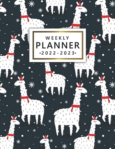 2022-2023 Weekly Planner: Glossy 2 Year Daily Organizer Calendar ...