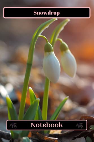 Snowdrop Notebook: Capturing Memories, A Personalized Notebook for All ...