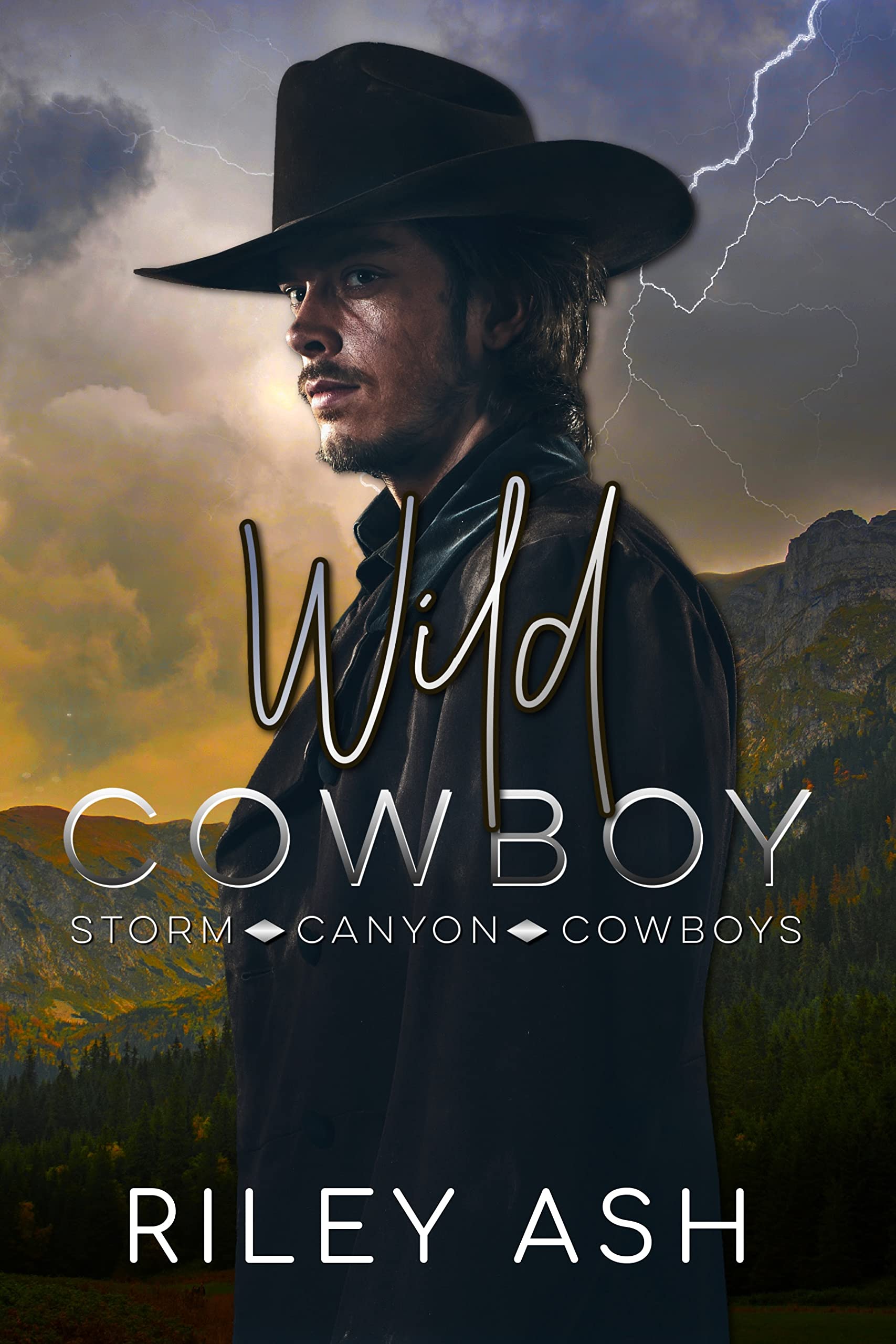 Wild Cowboy (Storm Canyon Cowboys #3) by Riley Ash | Goodreads