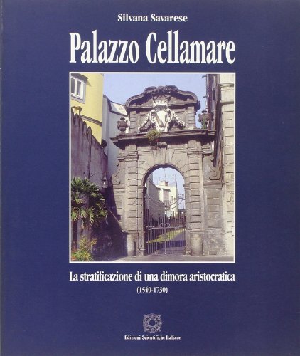 Palazzo Cellamare: La stratificazione di una dimora aristocratica ...