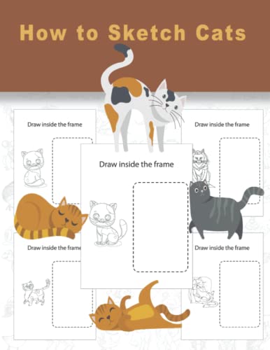 How to Sketch Cats: How To Draw Cats, How To Draw Cats For Teens, Learn ...