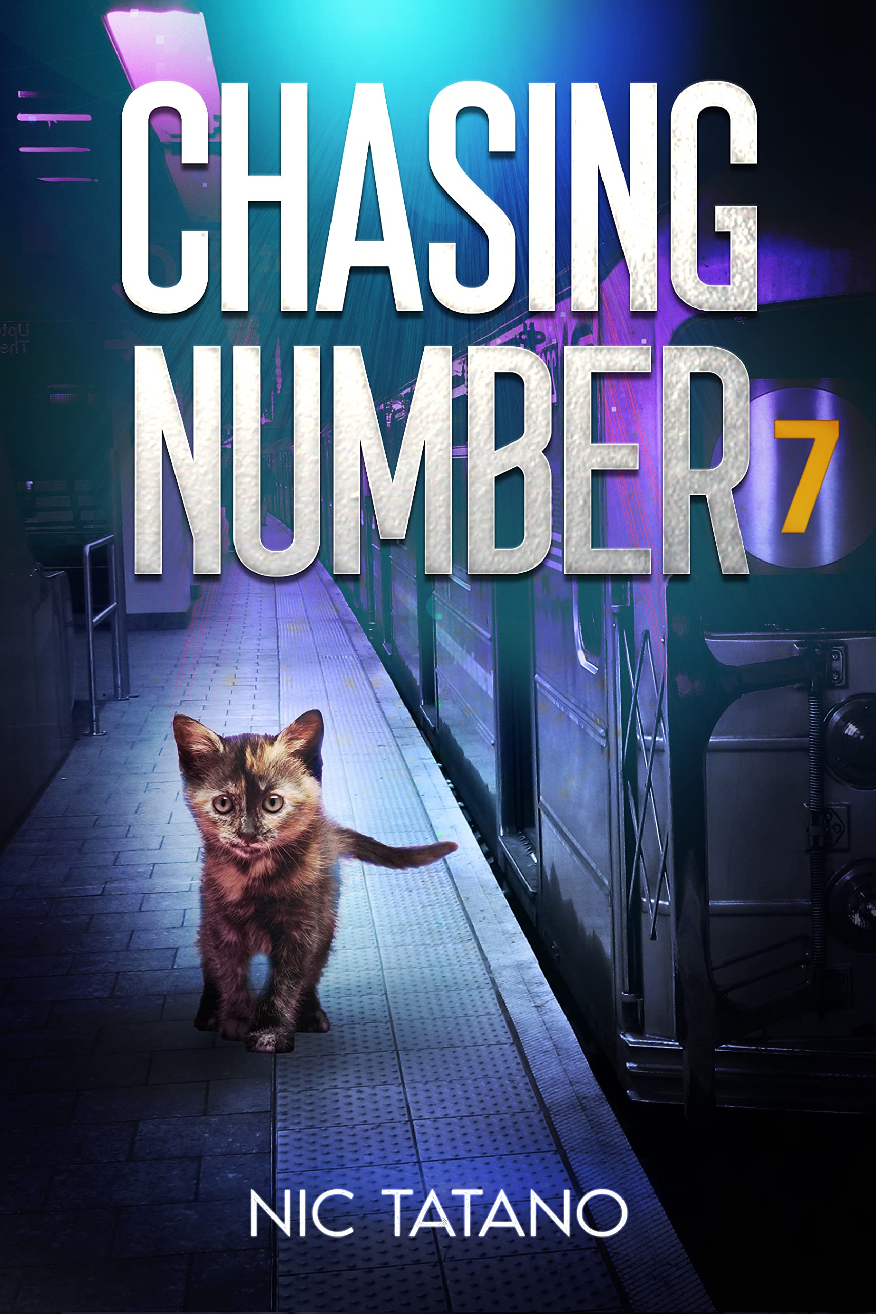 Chasing Number 7 by Nic Tatano | Goodreads