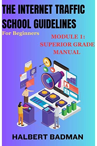 THE INTERNET TRAFFIC SCHOOL GUIDELINES FOR BEGINNERS: MODULE 1 ...