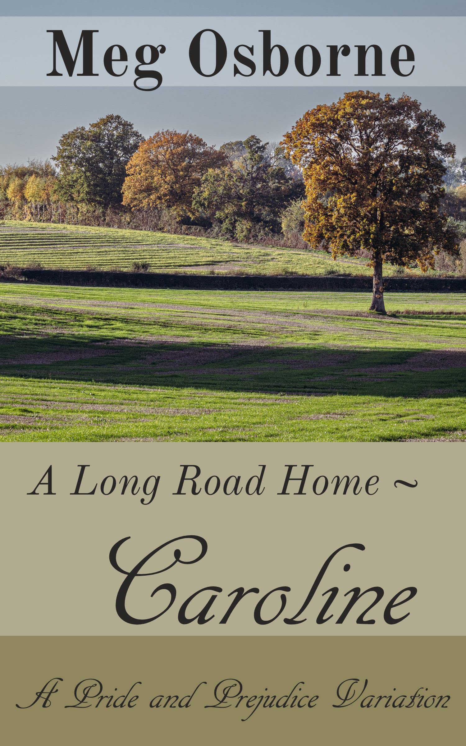 Caroline (A Long Road Home Book 3) by Meg Osborne | Goodreads