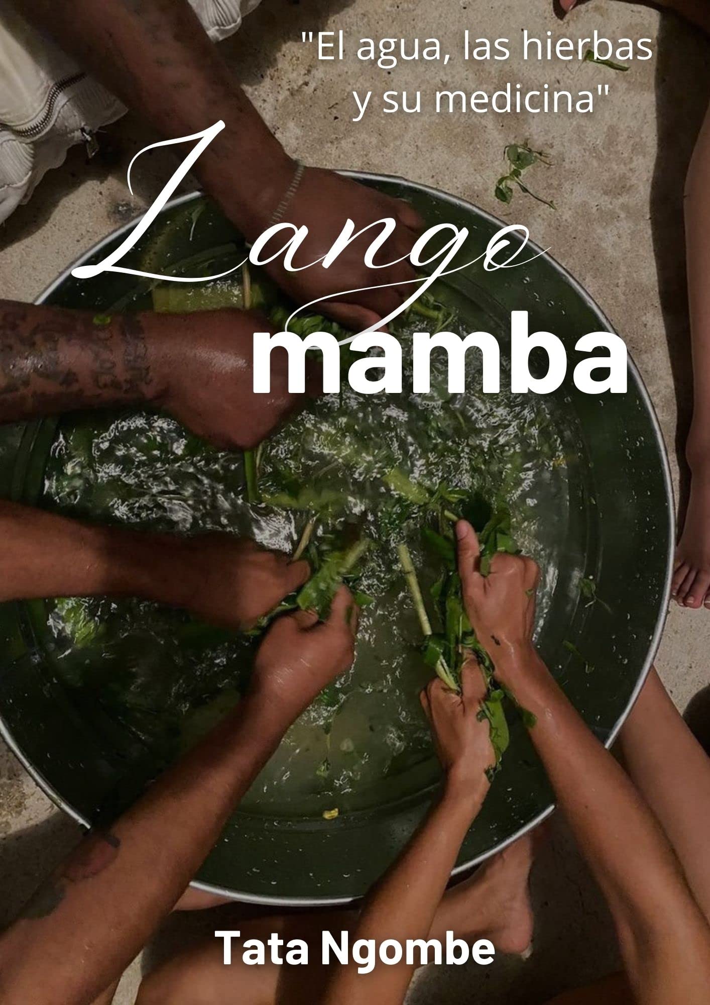 Lango Mamba: Baños palo monte (Spanish Edition) by Pedro Carrillo ...