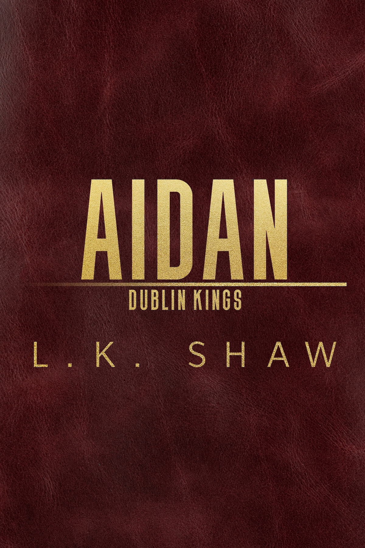Aidan (Dublin Kings #3) by L.K. Shaw | Goodreads