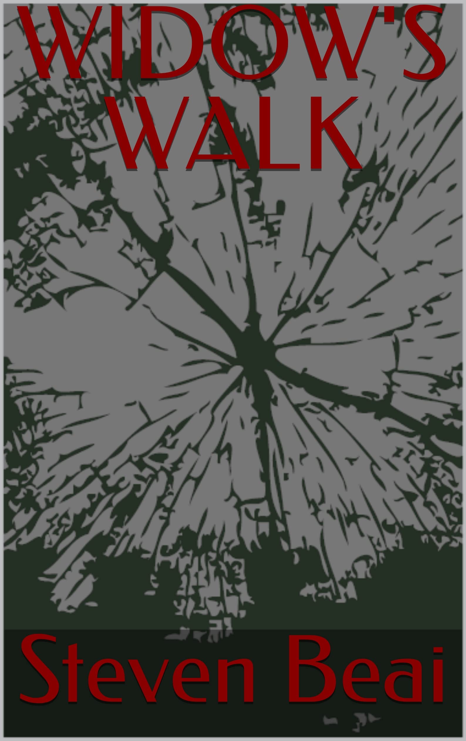WIDOW'S WALK by Steven Beai | Goodreads