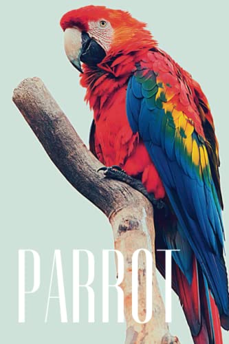 Lined Writing Note Pads for notes and ideas with parrot image image ...