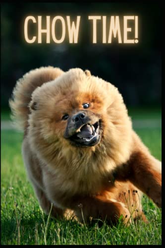 Chow Chow Meme