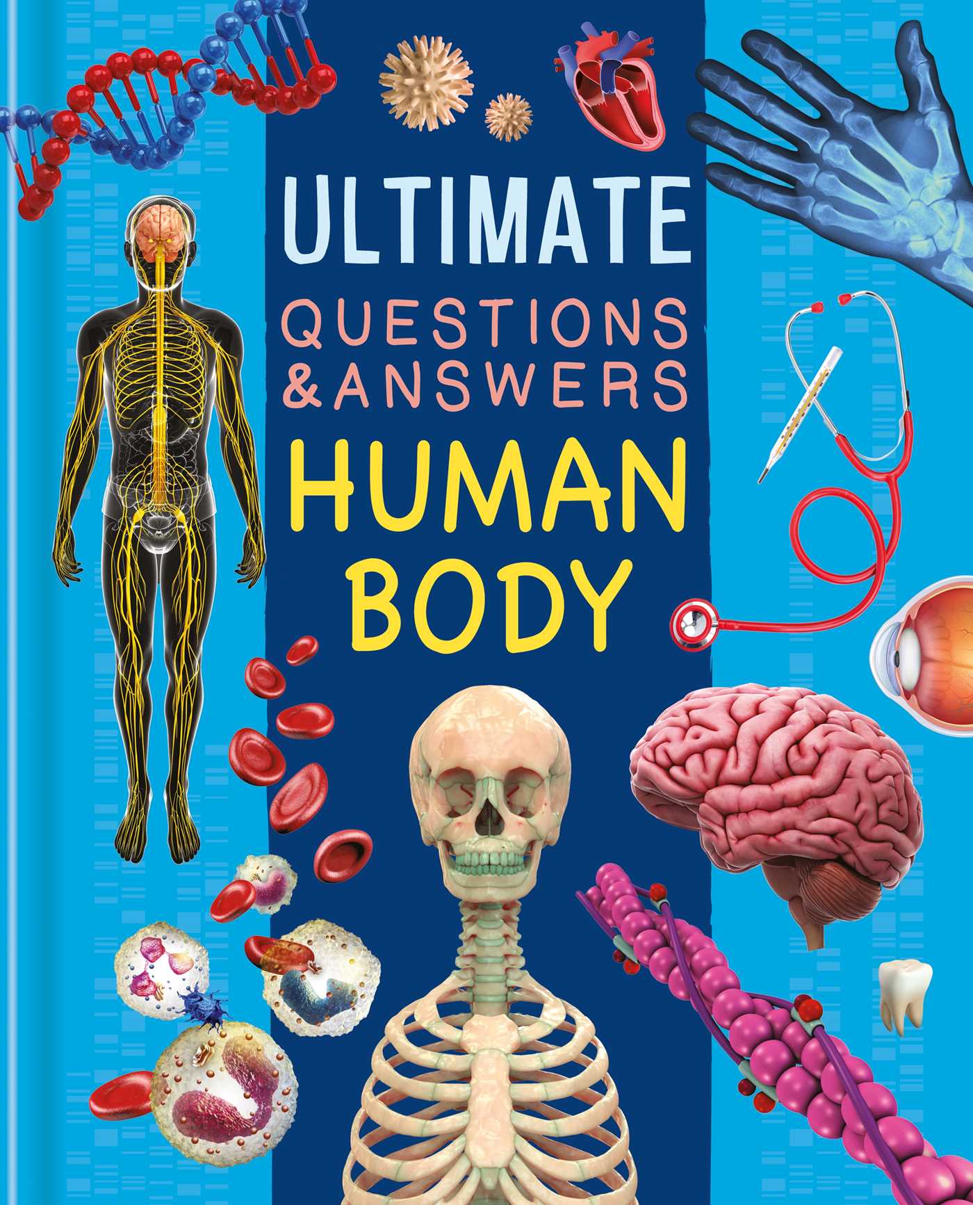 Ultimate Questions Answers Human Body Photographic Fact Book By