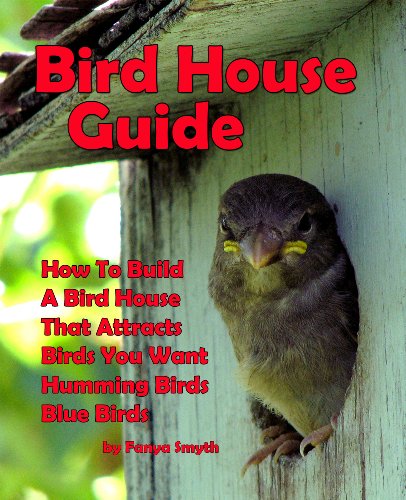 Bird House Guide: How To Build A Bird House That Attracts The Birds You ...