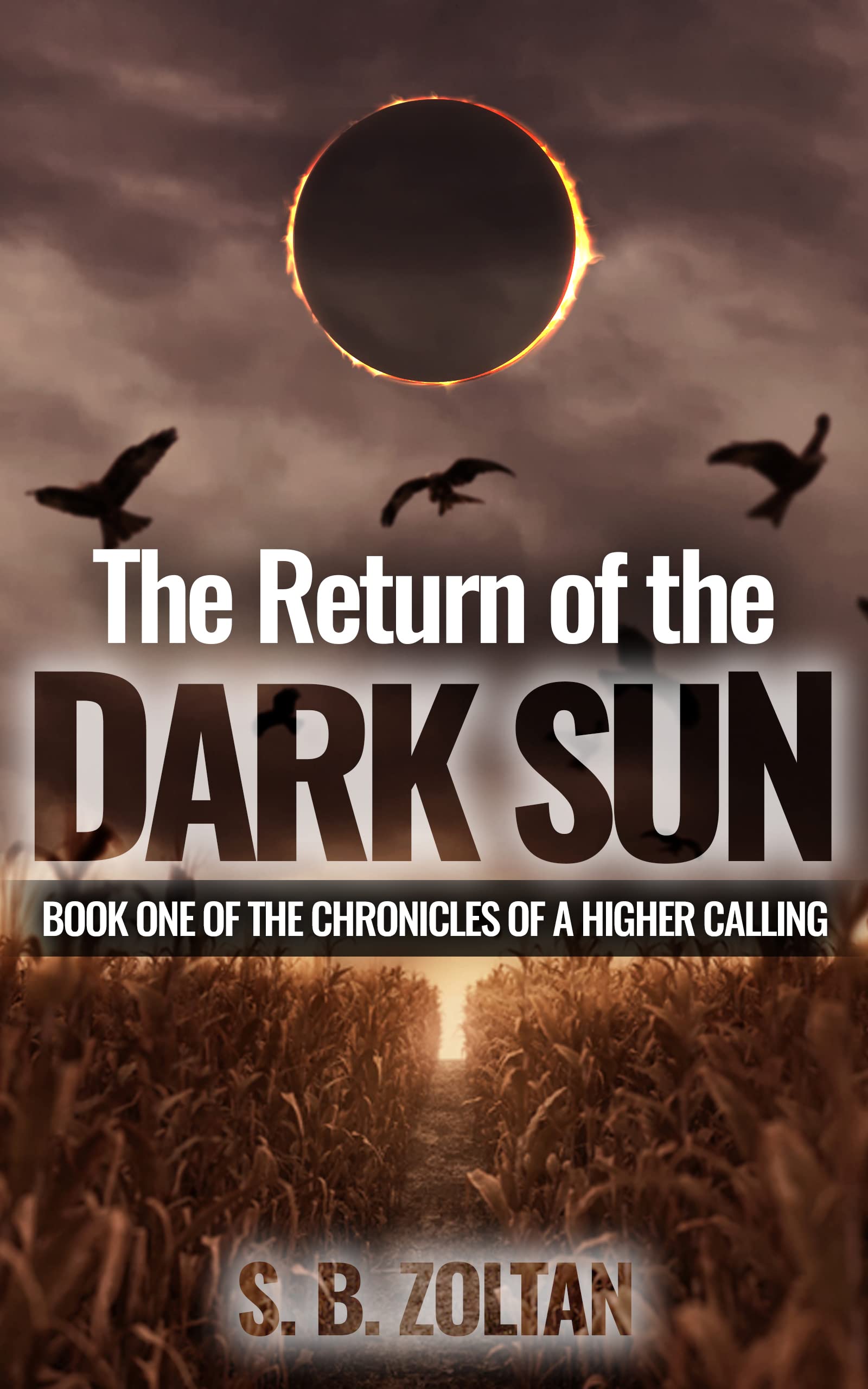 The Return of the Dark Sun: Book One of the Chronicles of a Higher ...