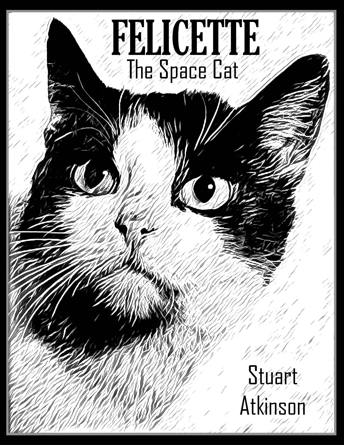 FELICETTE: The Space Cat by Stuart Atkinson | Goodreads