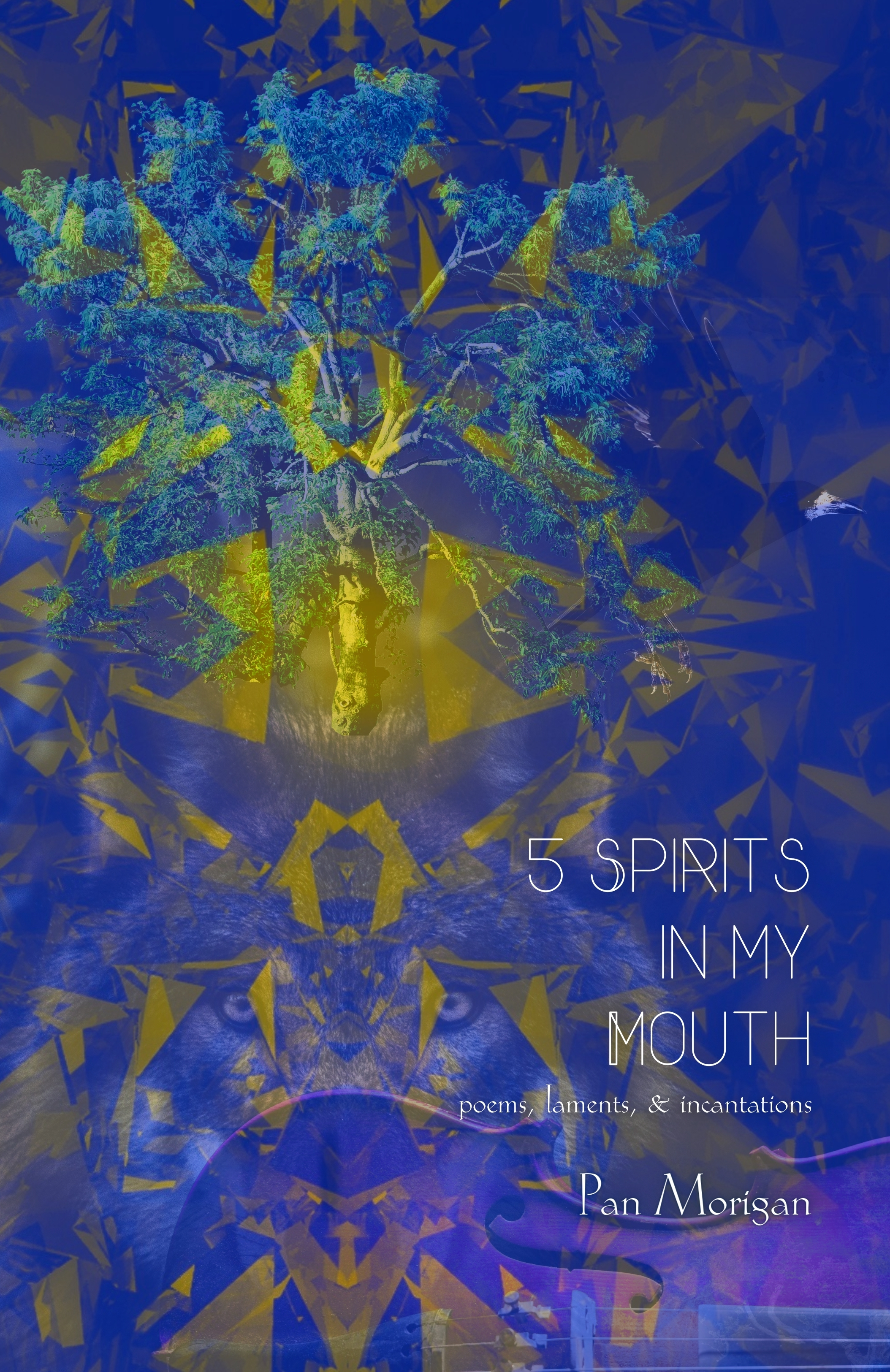 5 Spirits in my Mouth: Poems, laments, & Incantations by Pan Morigan ...