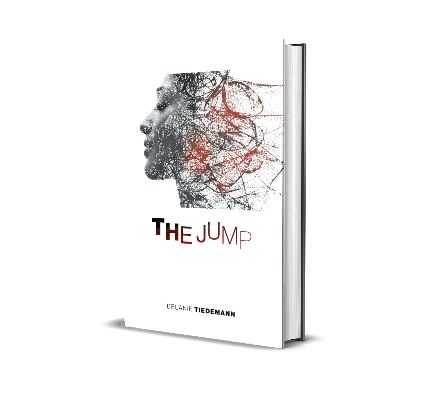 The Jump by Delanie Tiedemann | Goodreads