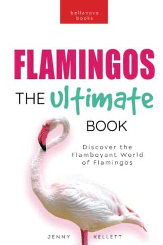 The Ultimate Flamingo Book for Kids: Flamingo Facts, 100+ Amazing Facts ...