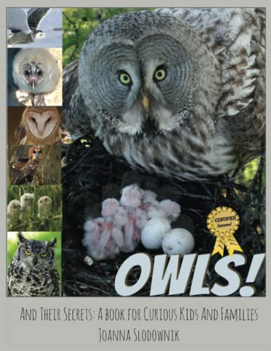 Owls! And Their Secrets: A Book for Curious Kids and Families by Joanna ...