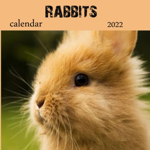Ràbbits Calendar 2022: official Ràbbits calendar 2022,12 months, bunny ...