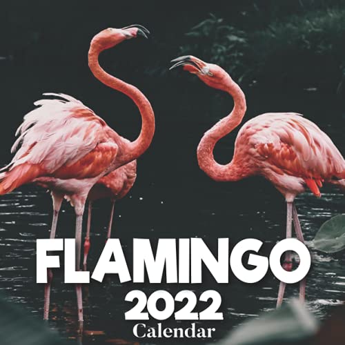 Flamingo Calendar: A Monthly and Weekly Calendar 2022 - 12 months ...