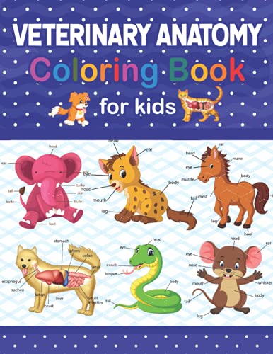 Veterinary Anatomy Coloring Book For Kids: Incredibly Detailed Self ...