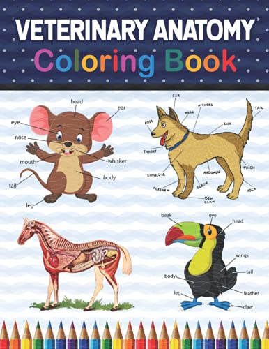 Veterinary Anatomy Coloring Book: Learn Veterinary Anatomy With Fun ...