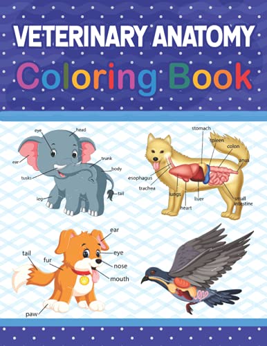 Veterinary Anatomy Coloring Book: Animal Anatomy Coloring Book for Kids ...