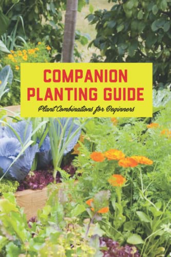 Companion Planting Guide: Plant Combinations for Beginners ...