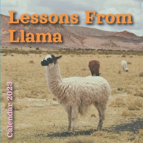 Lessons From Llama Calendar 2023: Llama Calendar 2023 : 18 Month July 2022 to December 2023 ...