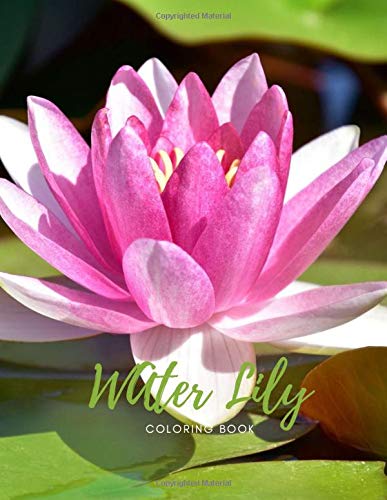 Water Lily Coloring Book: Gifts for Kids 4-8, Boys, Girls or Adult ...