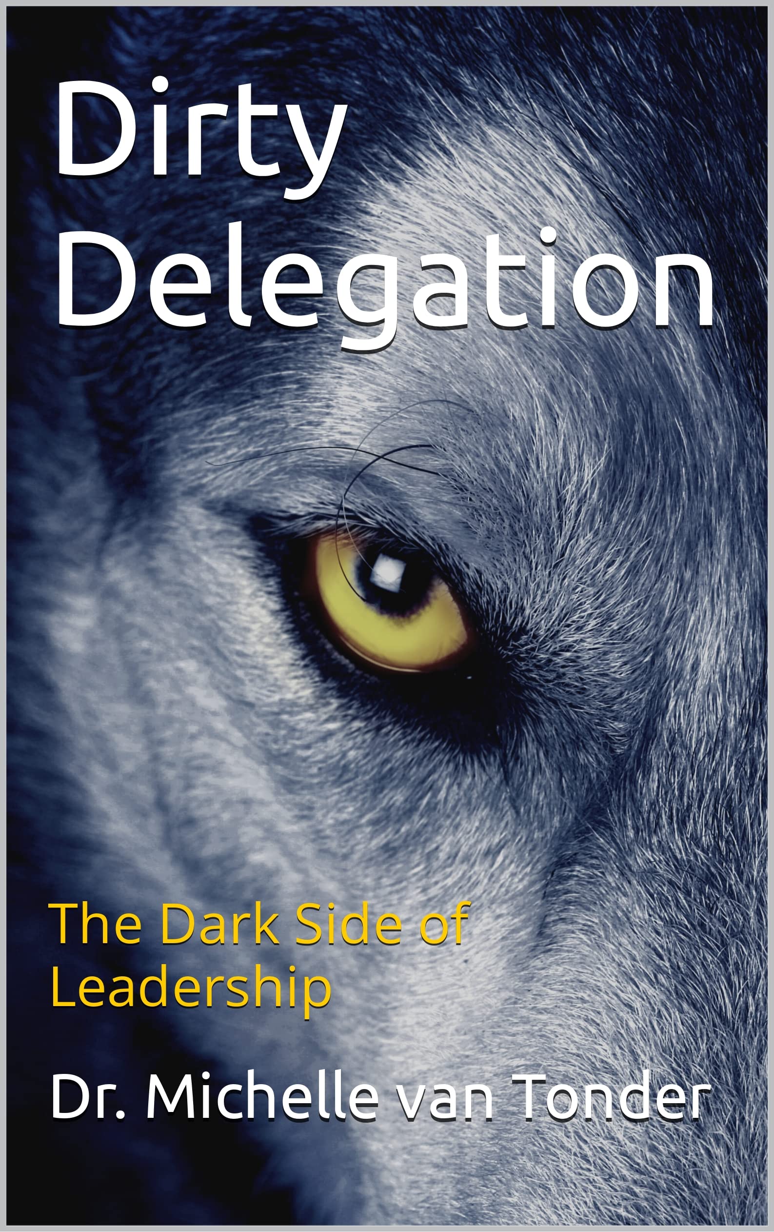 Dirty Delegation: The Dark Side of Leadership by Michelle van Tonder ...