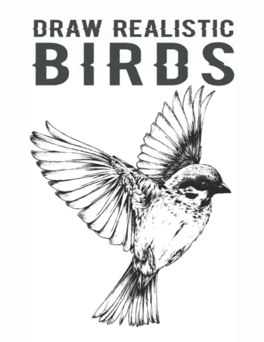 Draw Realistic Birds: Young Artists Learn Draw Birds, How to Draw Bird ...