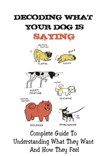 Decoding What Your Dog Is Saying: Complete Guide To Understanding What ...