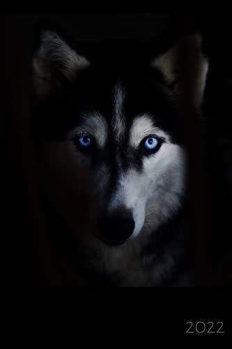 2022 Diary: Husky: A5 week-to-view, January to December 2022 by Helen ...