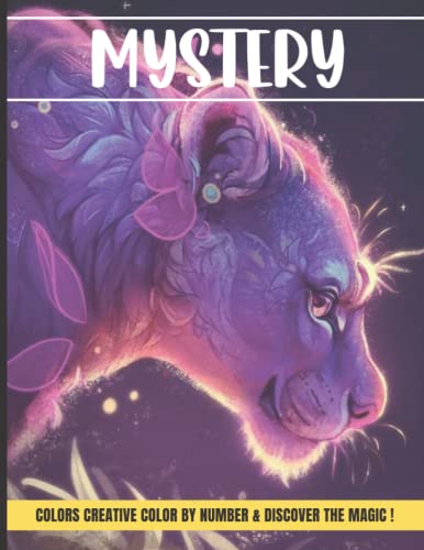 Mystery colors creative color by number & discover magic: Large Print ...