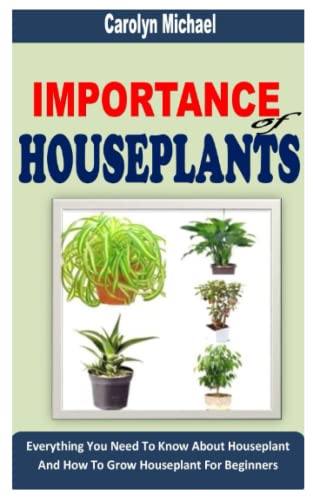 IMPORTANCE OF HOUSEPLANTS: Everything You Need To Know About Houseplant ...