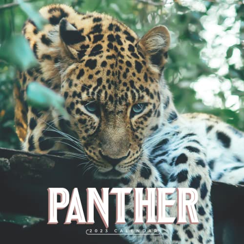 Panther Calendar: Beautiful 18-month 2023 Calendar - Gift for Family ...