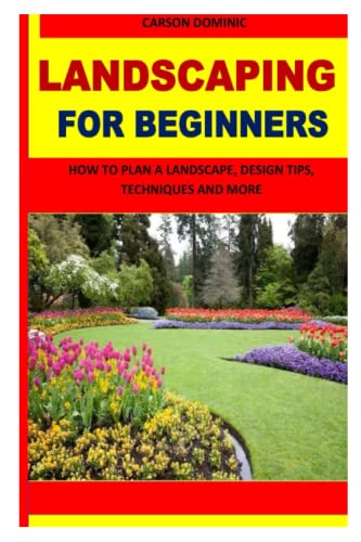 LANDSCAPING FOR BEGINNERS: HOW TO PLAN A LANDSCAPE, DESIGN TIPS ...